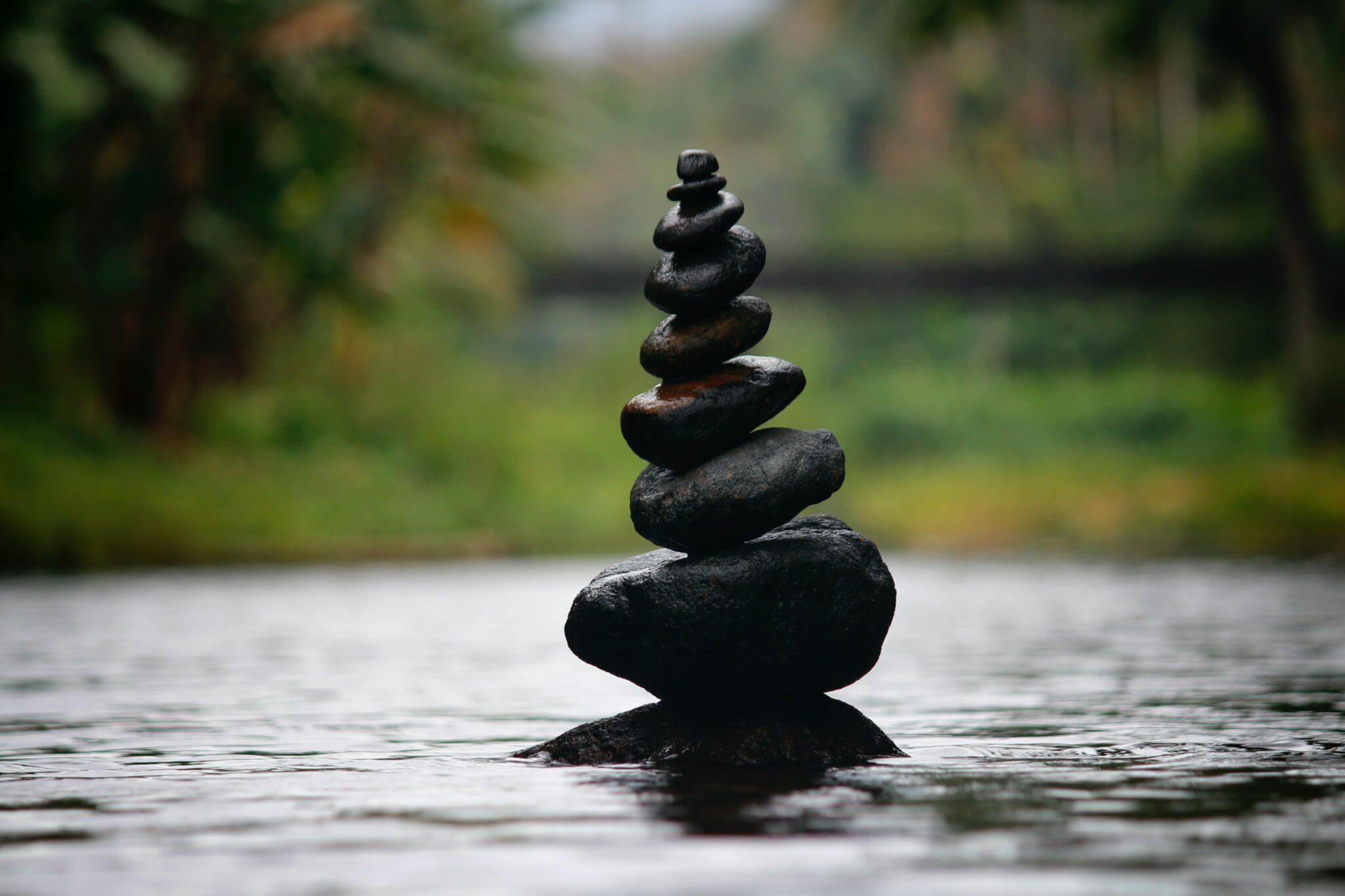 Missouri S&T – eConnection – Learn about feng shui May 1
