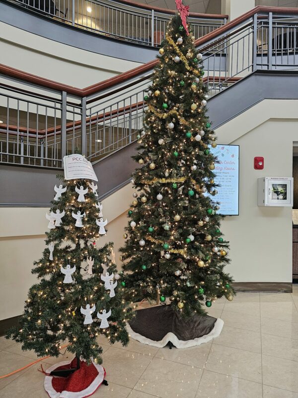 Missouri S&T – eConnection – Help Make Christmas Wishes Come True