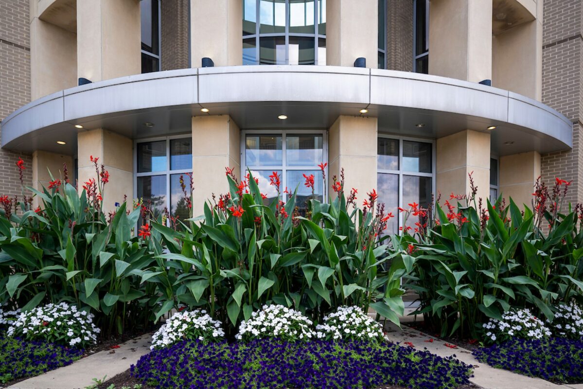 Missouri S&T – eConnection – Celebrating the unsung heroes of S&T ...