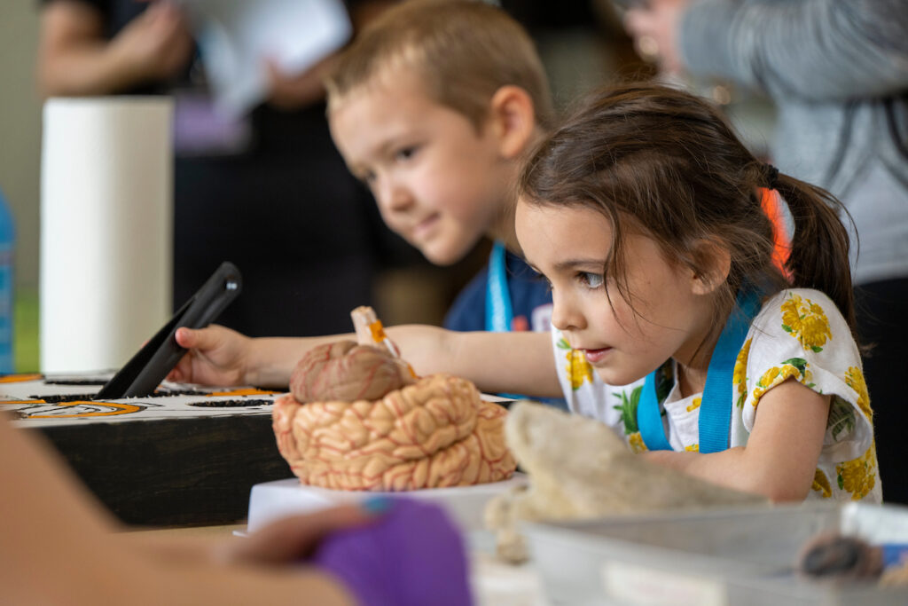 Missouri S&T – eConnection – Kummer Center looks for volunteers for ...