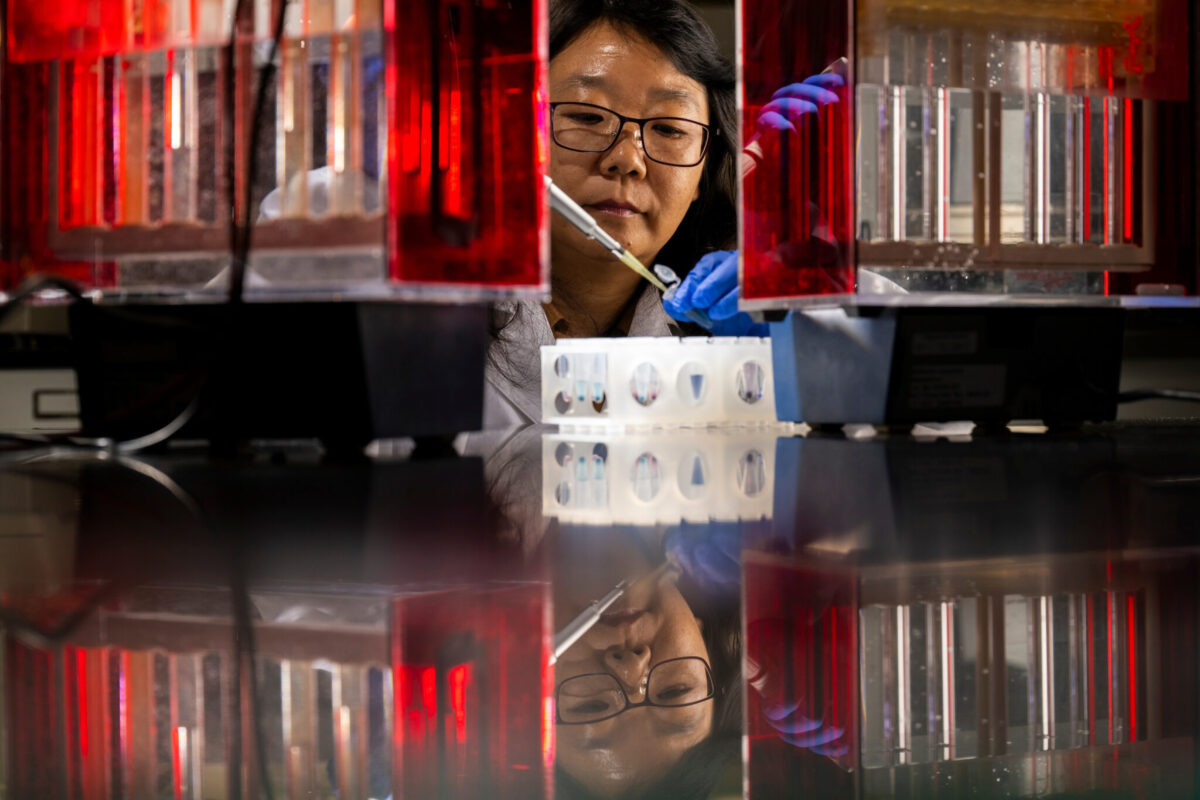 Missouri S&T – eConnection – Nine tenured S&T faculty honored